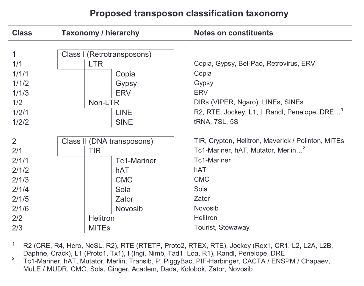 Step 5 - Run TEUlt pipeline - Transposon Annotations and Mapping