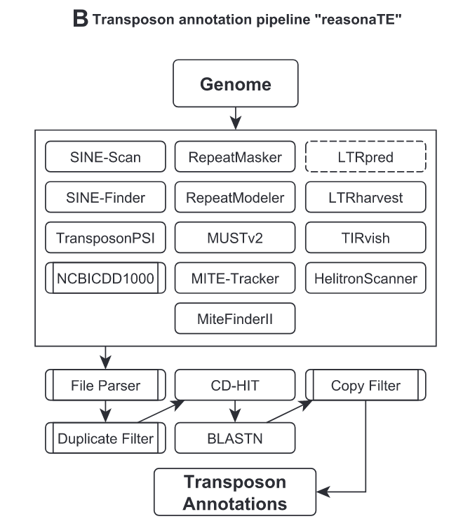 Step 5 - Run TEUlt pipeline - Transposon Annotations and Mapping